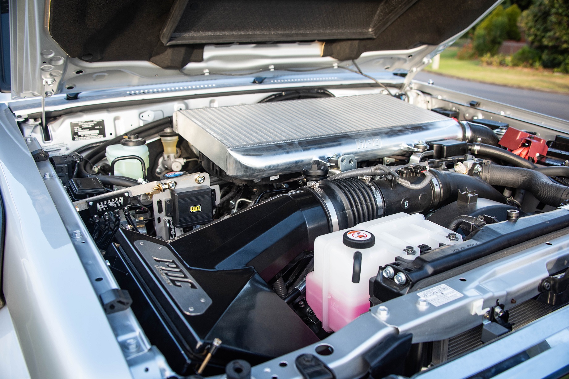 79 Series with a Silver Lining Build Gallery - Redi Cruisers