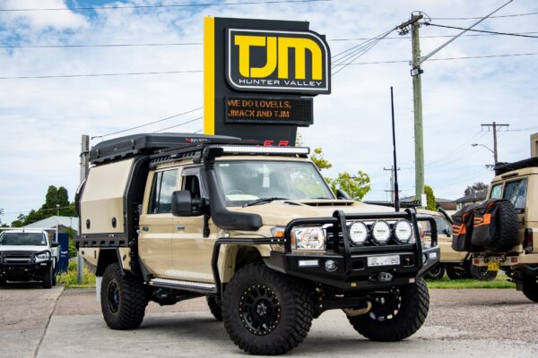 Savage Sandy Taupe 79 Build Gallery - Redi Cruisers