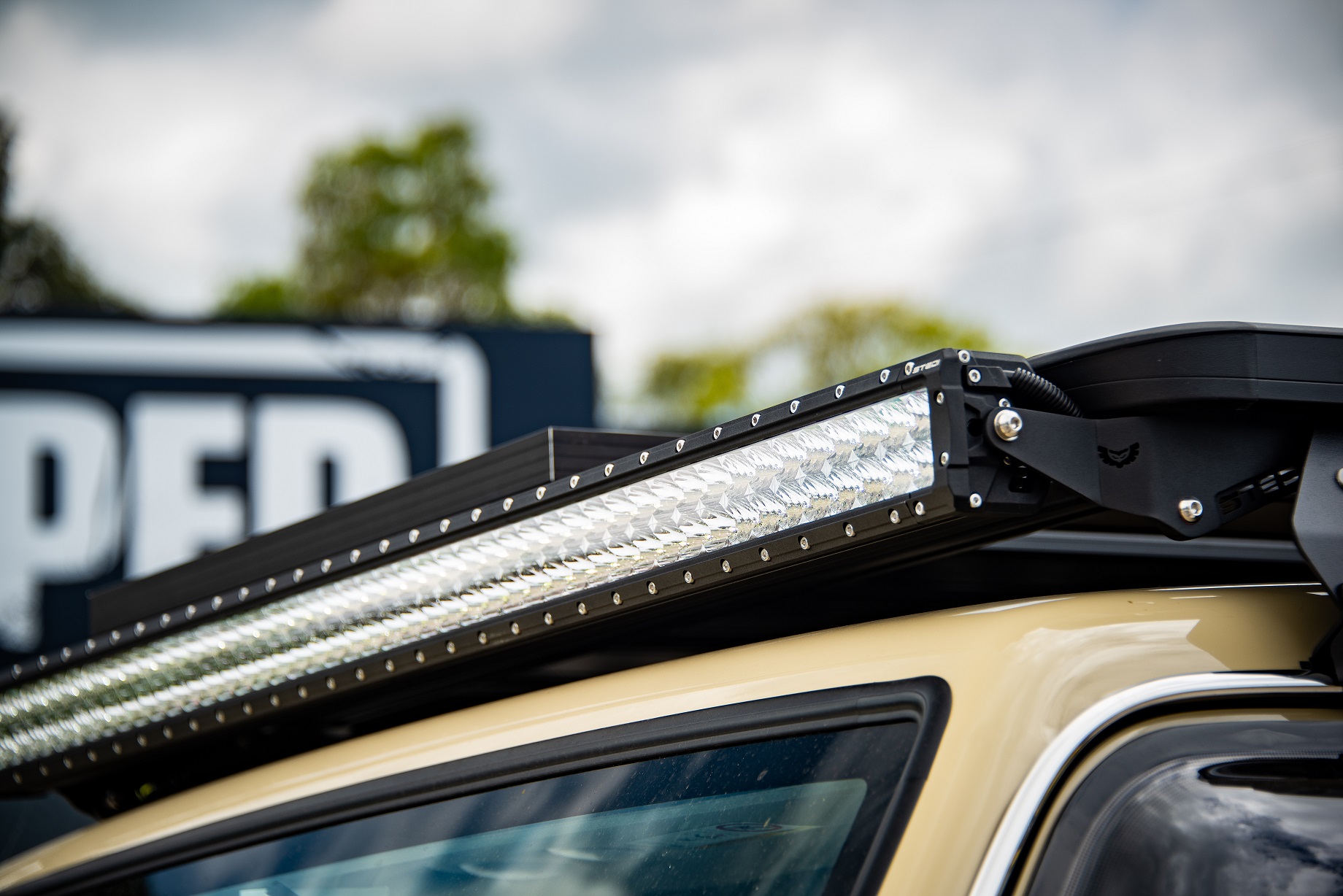 Savage Sandy Taupe 79 Build Gallery - Redi Cruisers