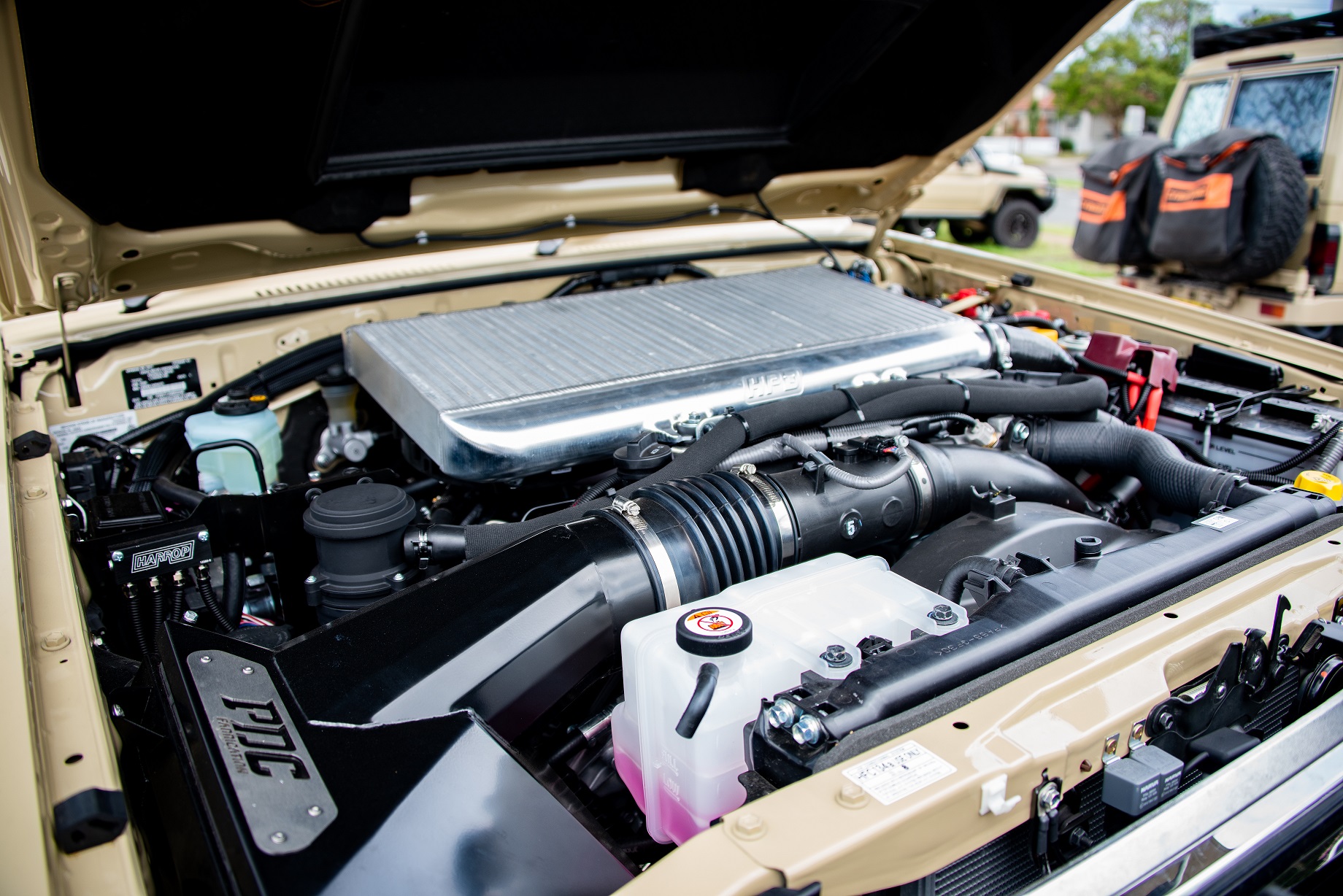 Savage Sandy Taupe 79 Build Gallery - Redi Cruisers